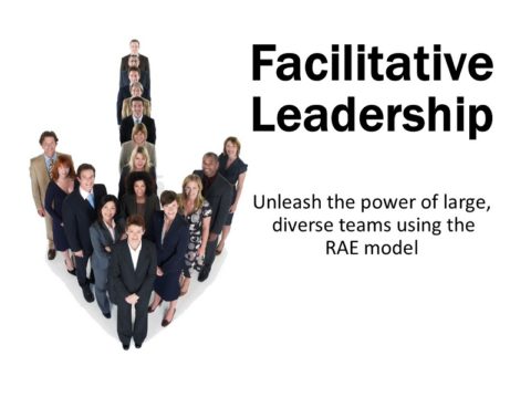 Facilitative Leadership for Agility